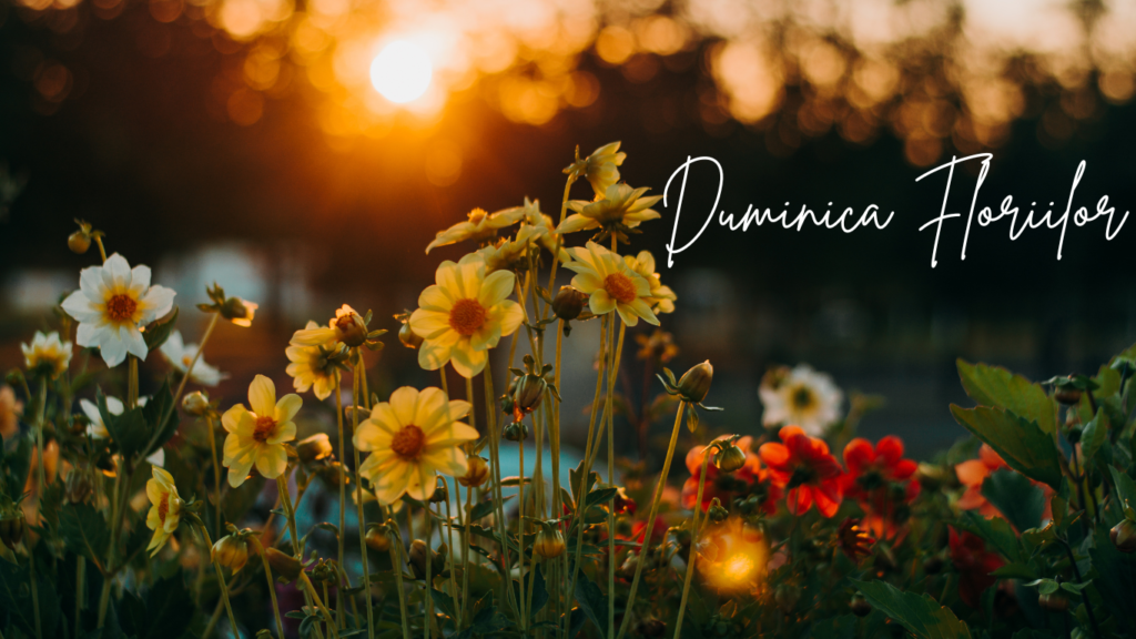 Florii 2025, află semnificația ascunsă a zilei